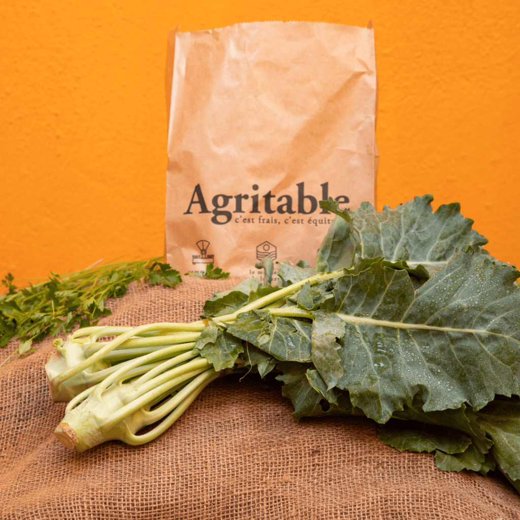 Boutique – Agritable