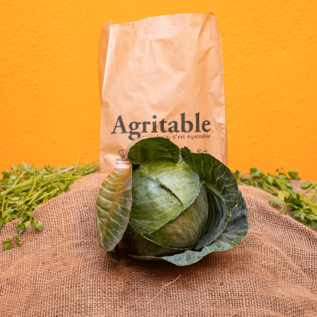 Boutique – Agritable