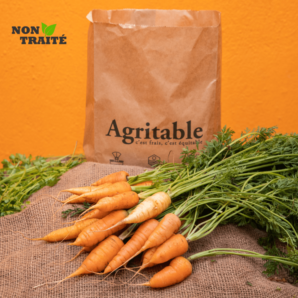 Boutique – Agritable