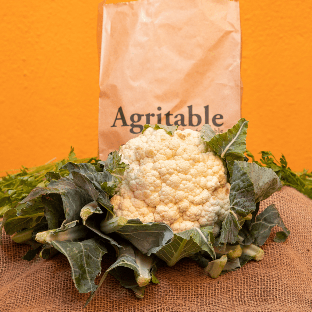 Boutique – Agritable