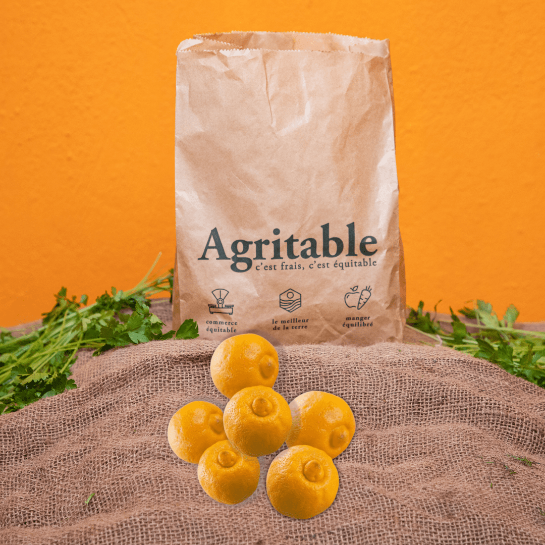 Boutique – Agritable