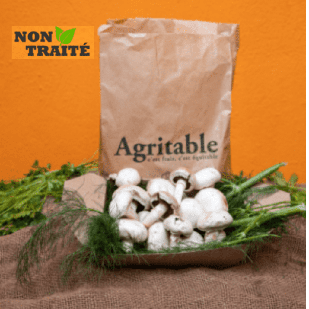 Boutique – Agritable